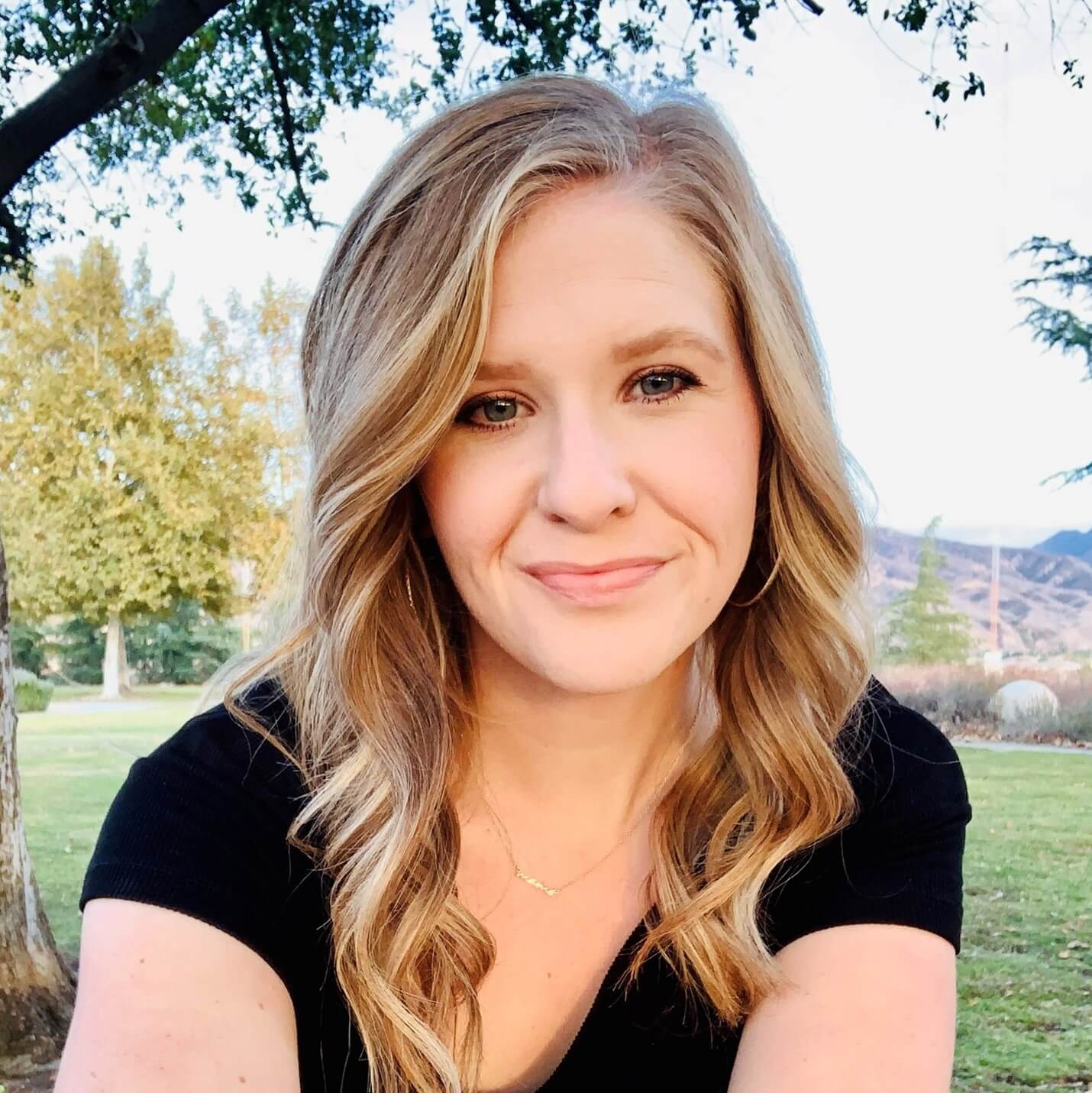 Diana Almendarez, Author at Accela